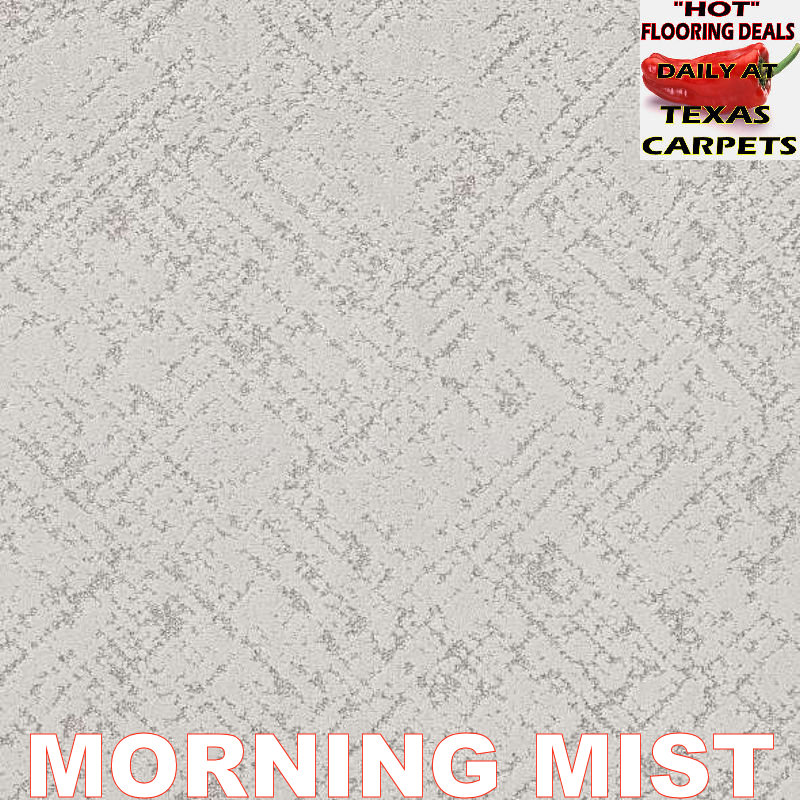 Sincere Focus | Shaw